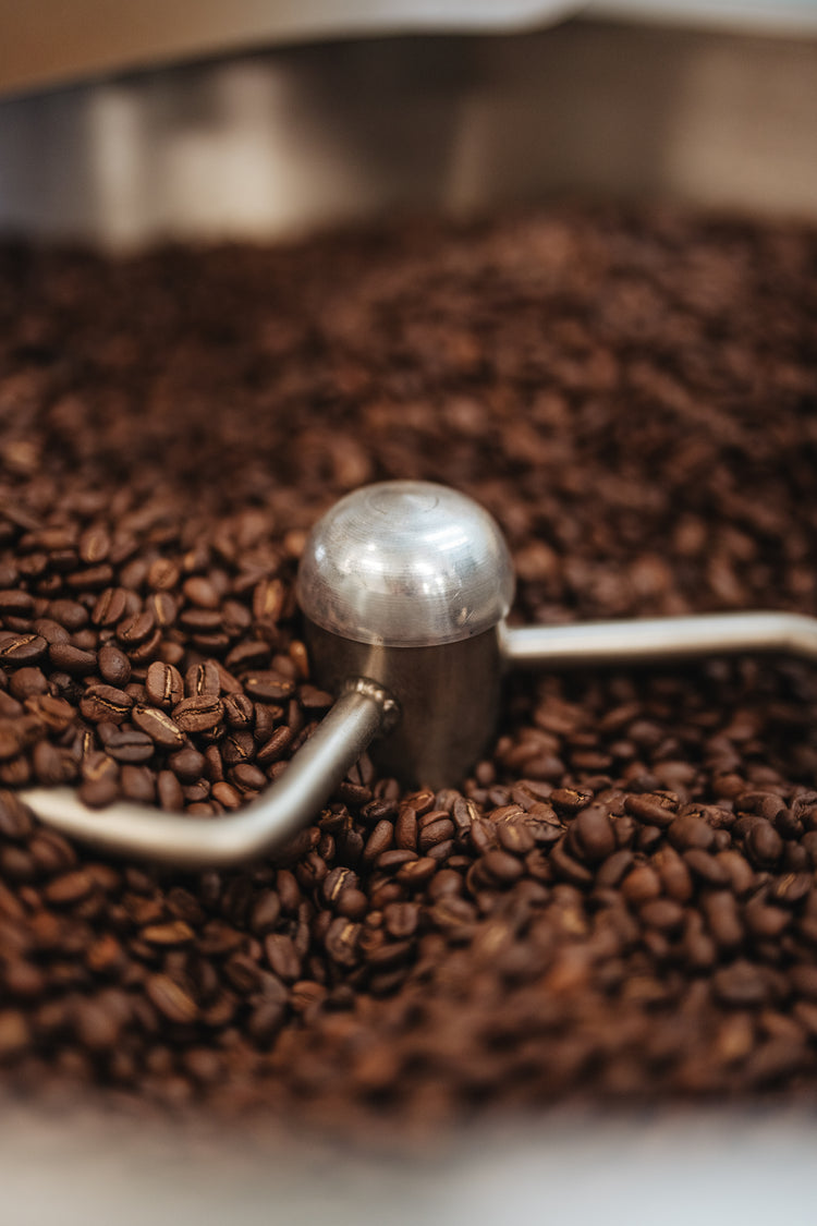 Bermuda Coffee Studio
